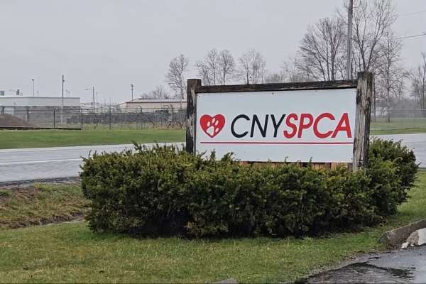 » CNY SPCA Combines Eclipses and Animals for Adoption Event