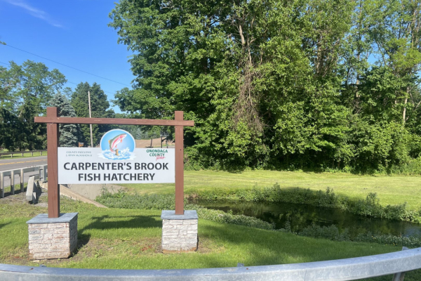 » Annual Time Out to Fish Program Kicks Off at Carpenter’s Brook Fish ...