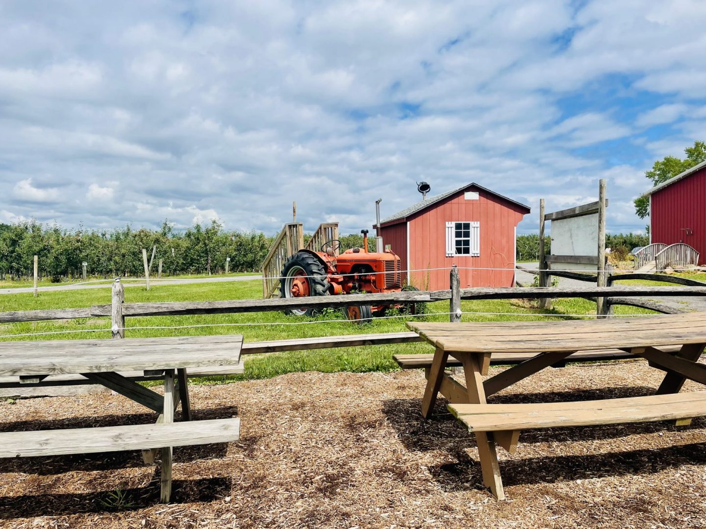 » Abbott Farms Takes Precautions Against Weather