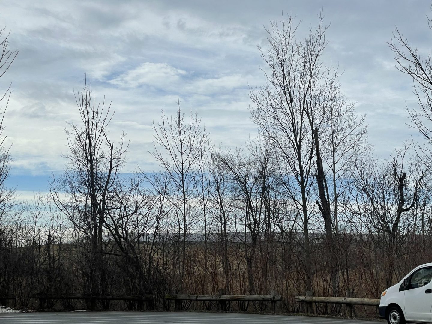 » New York State Solar Farms Build Around Wildlife