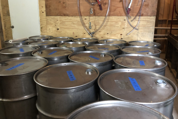 » What the Early Spring Means for Maple Syrup