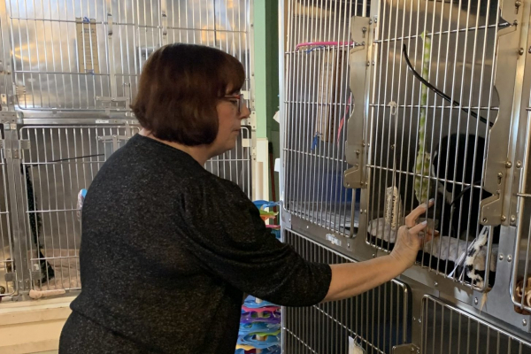 » CNY SPCA Holding “The Total Eclipse of the Heart” Event