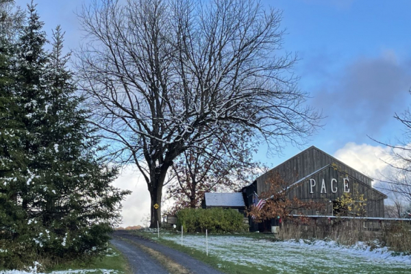» Winter Season Preview: Christmas Trees