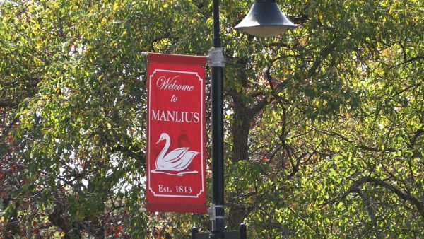 » First Annual Swan Festival in Manlius