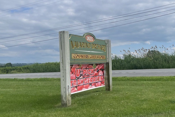 » Unpredictable Weather Patterns Impact Local Agriculture