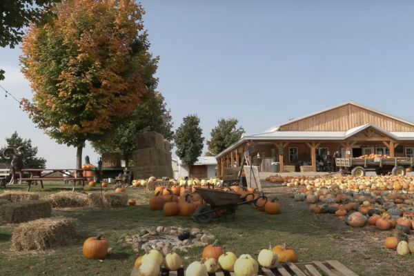 » Tim’s Pumpkin Patch: Family-Owned and Family-Loved