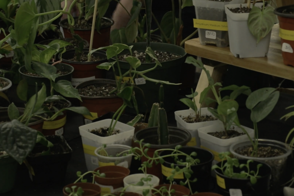 » Spring Comes Early at the Northeast Plant Show