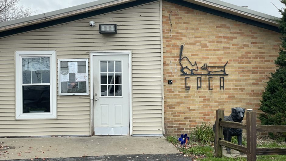 » CNY SPCA’s Adoption Rates Recovered Post COVID-19