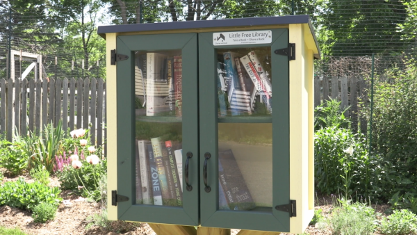 » Free Little Libraries Provide Easy Access for Syracuse Book Lovers