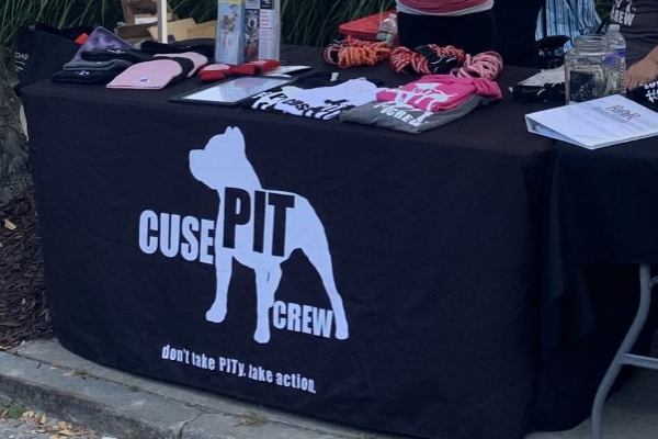 » Cuse Pit Crew Defies Pit Bull Stereotypes