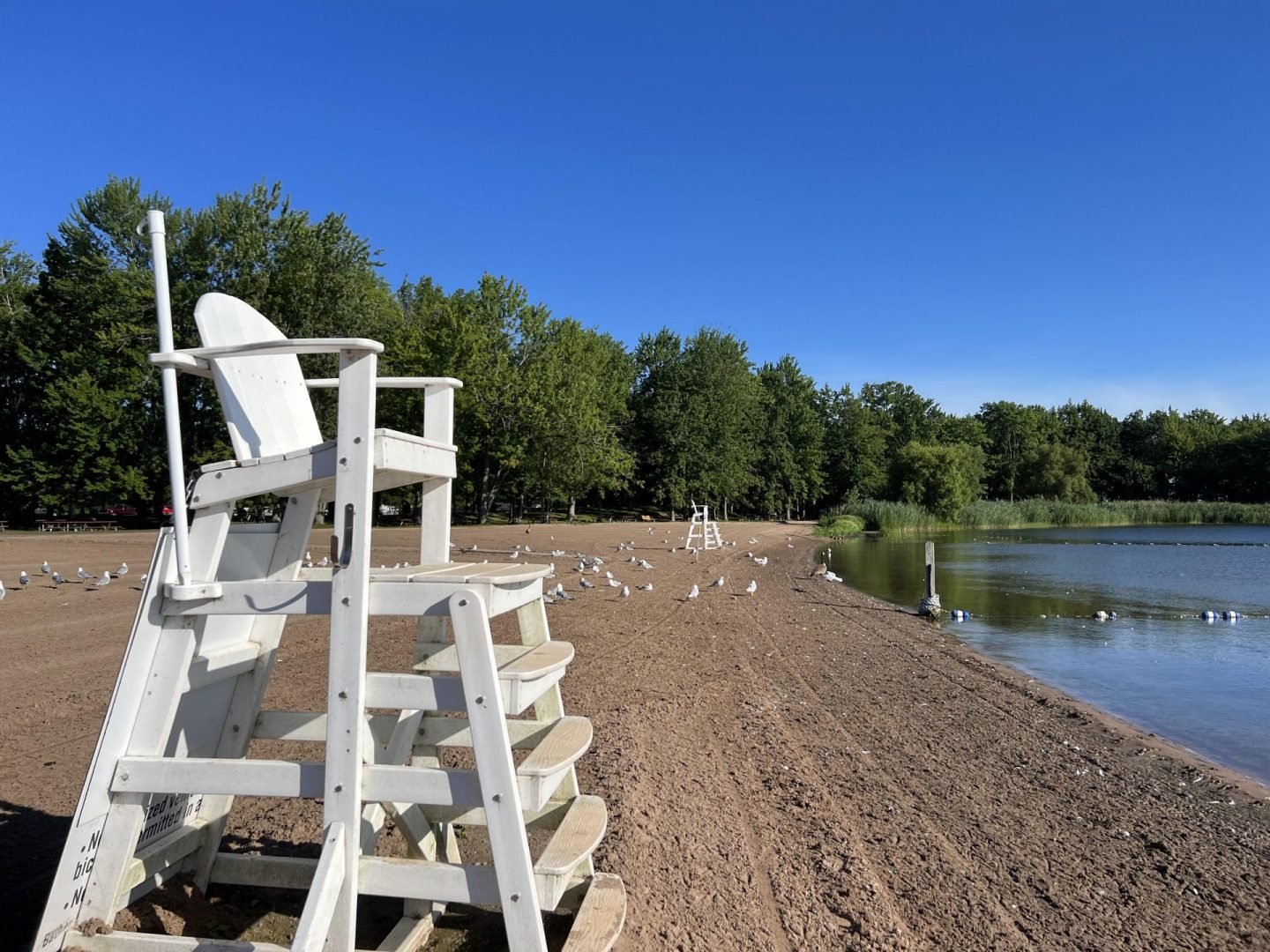 » Oneida Shores Beach Closed for High Levels of Bacteria