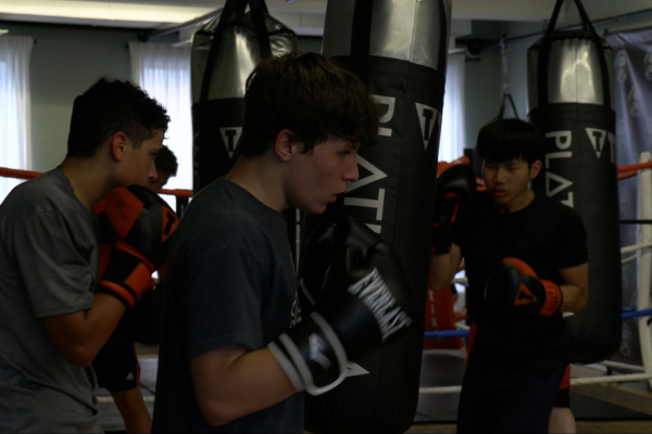» Local Boxing Gym Provides Kids with Healthy Way to Decompress
