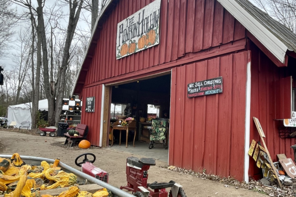 » A Drought Causes a Small Problem for a Local Pumpkin Patch