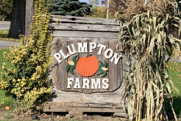» Inflation Impacts Local Pumpkin Patches